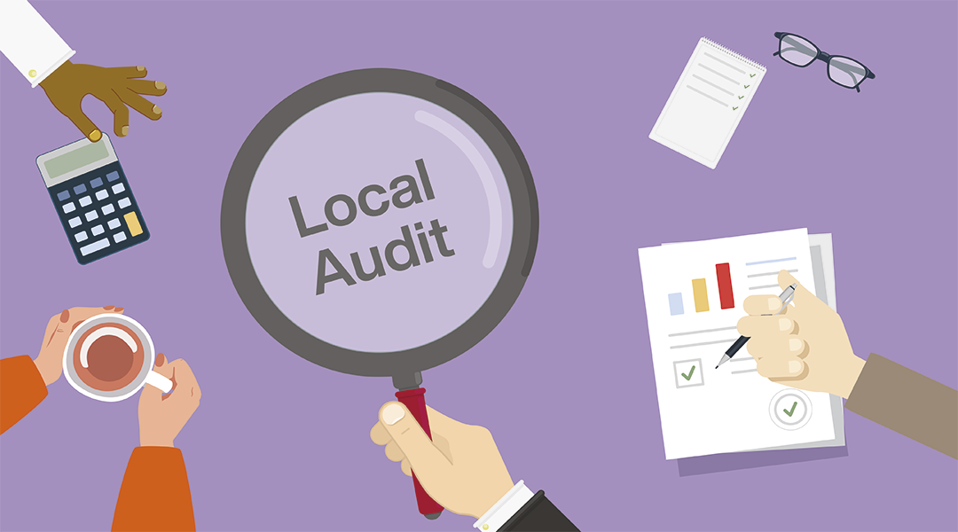 National Audit Office (NAO)